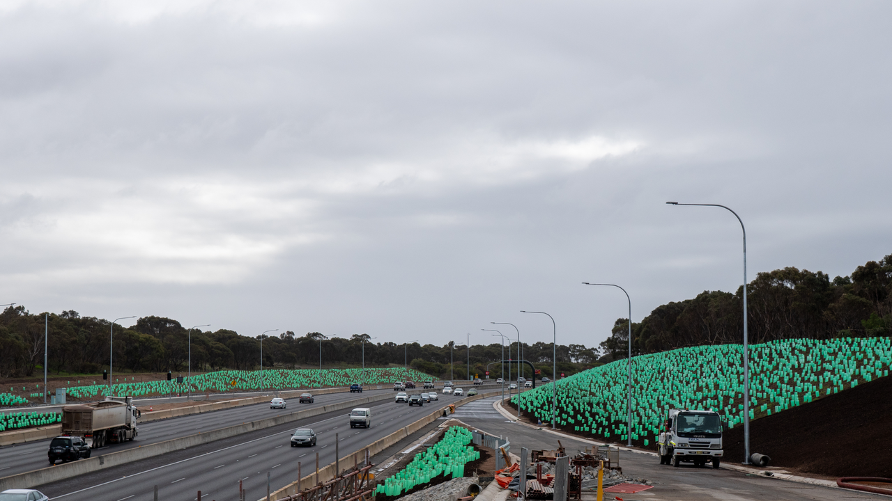 Greening the Southern Expressway at Majors Road | GreenInc